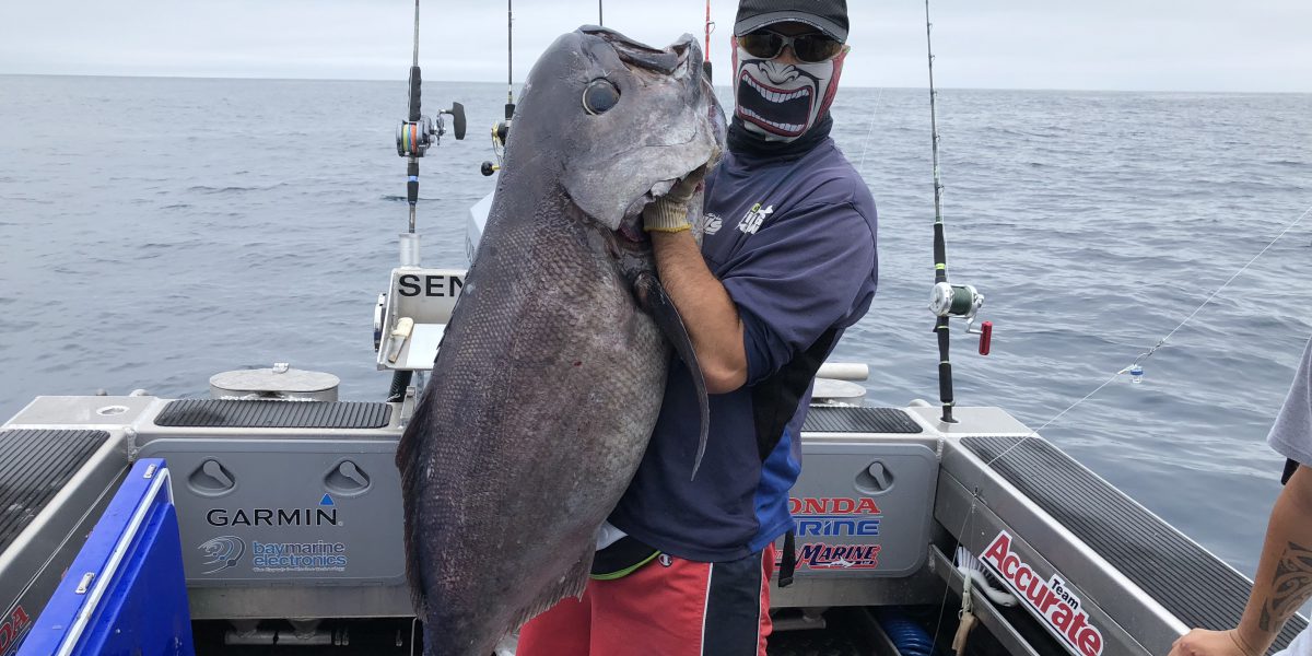 Slaughter Fishing Charters - Houhora, Far North - New Zealand